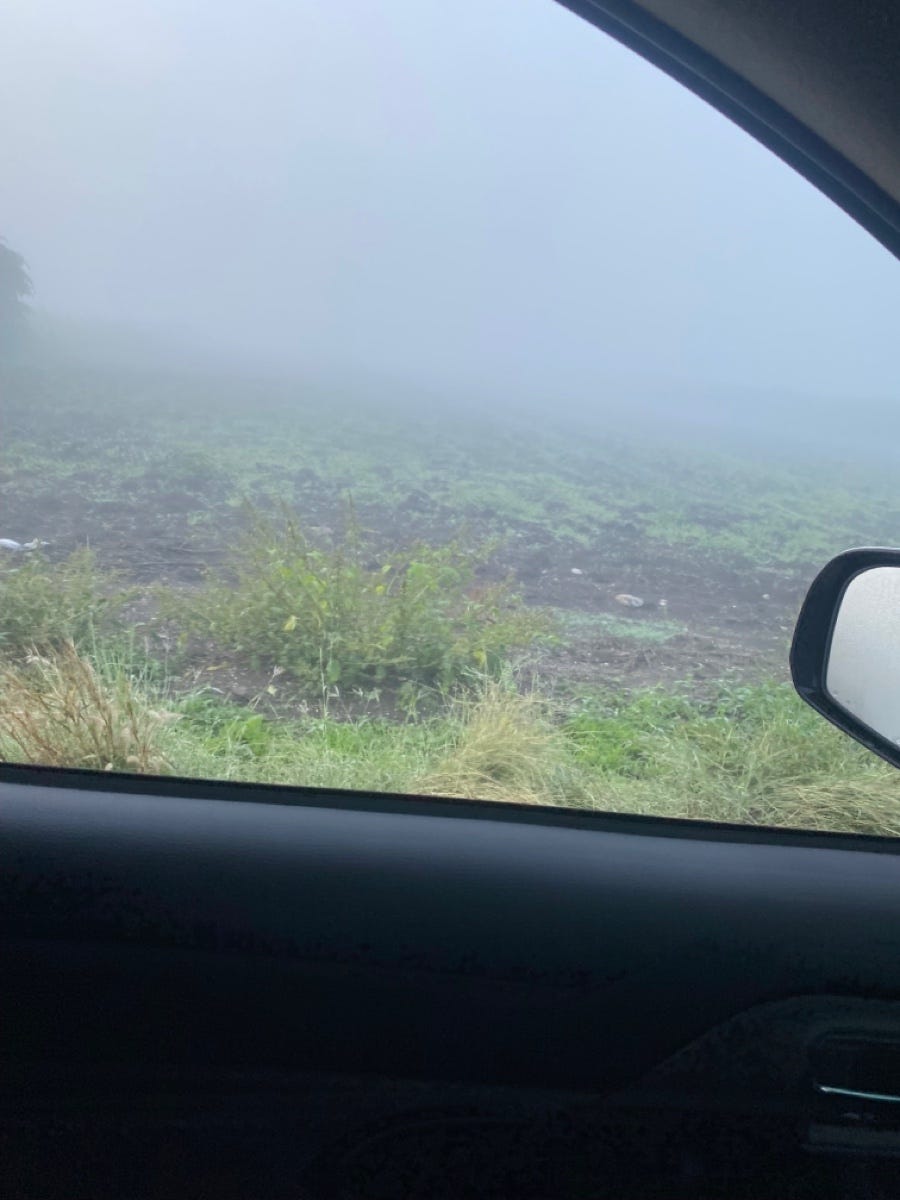 About – DK1 – Medium