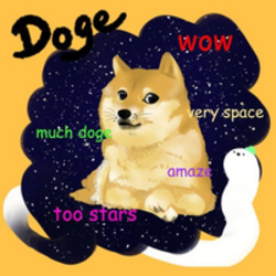 doge in a memes world – Medium