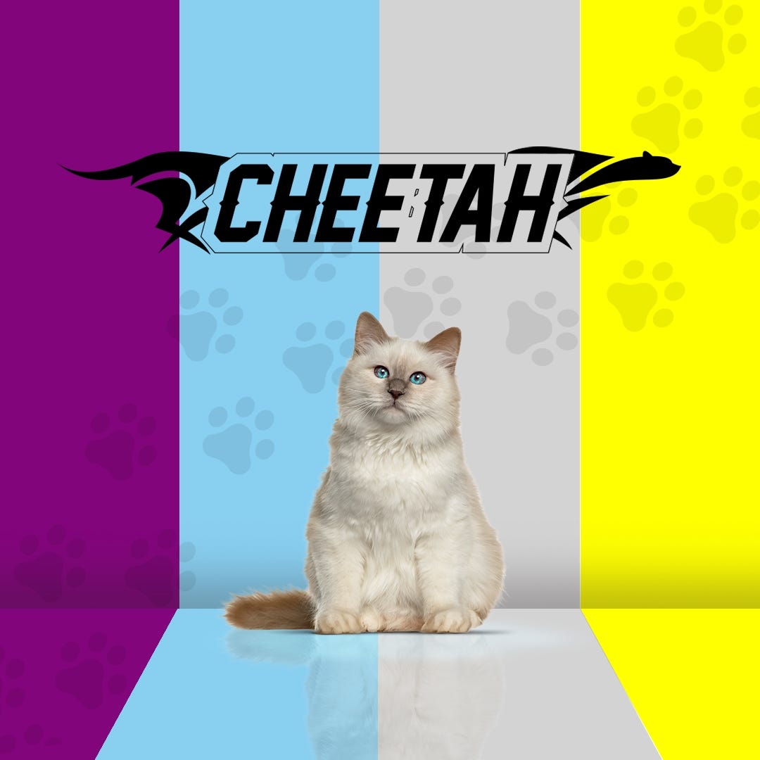 About – Cheetah pets – Medium