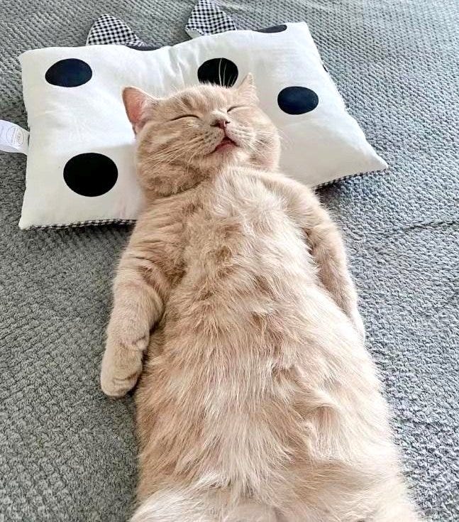 About – Ex Murffy – Medium