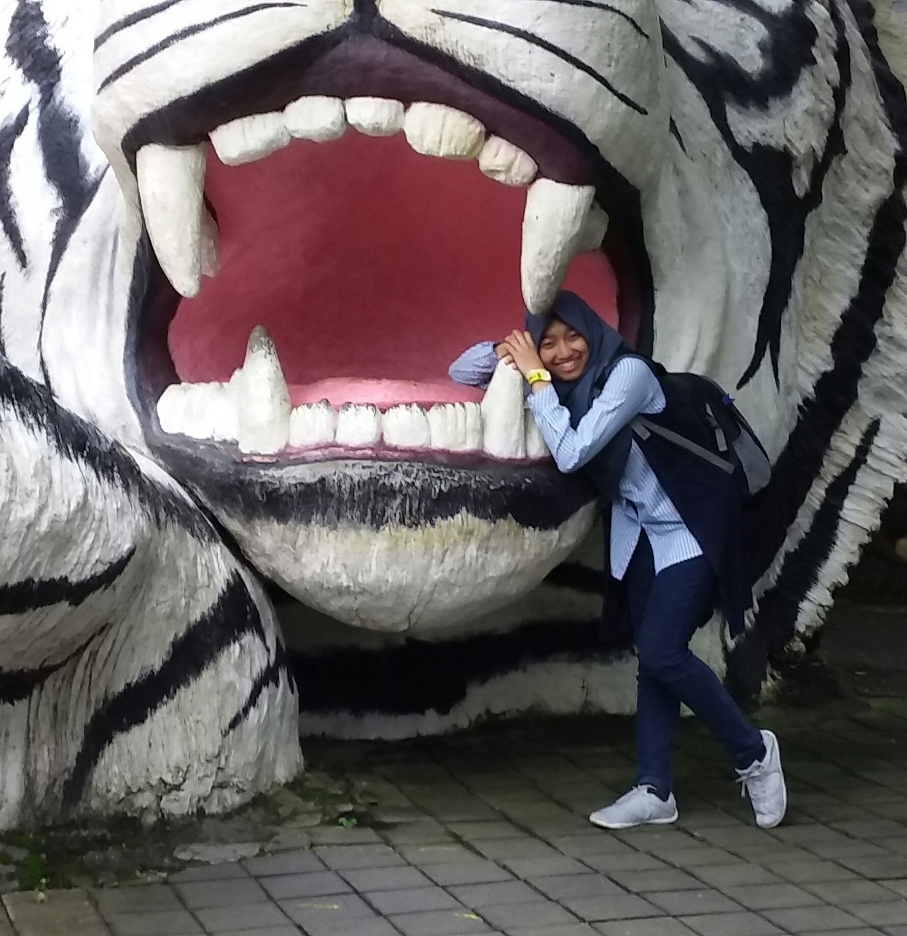 Dedew_kiwi – Medium