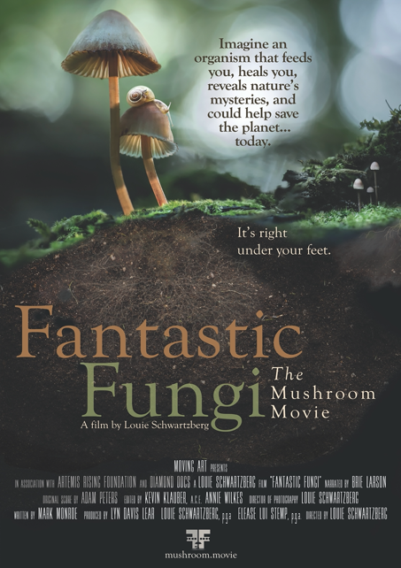 About – Fantastic Fungi – Medium