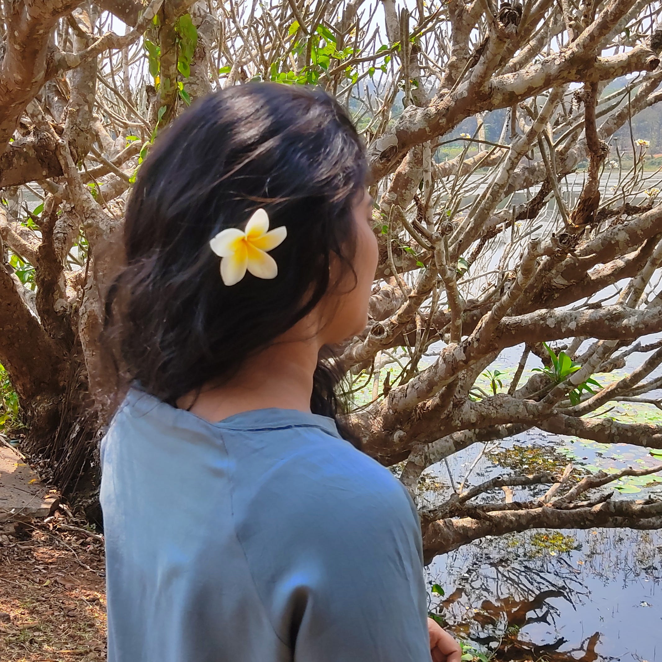 Kavya – Medium