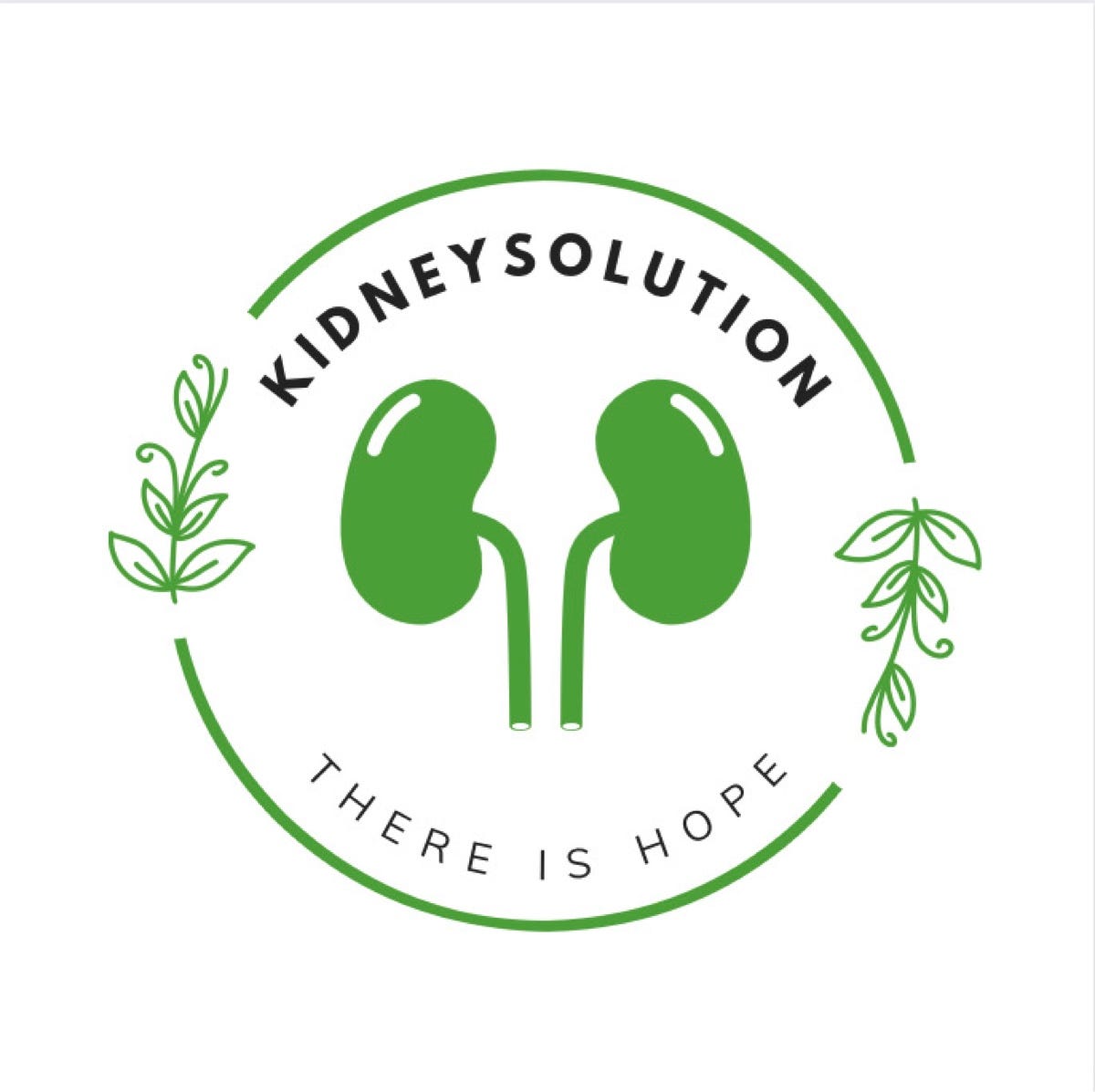 Kidneysolution – Medium