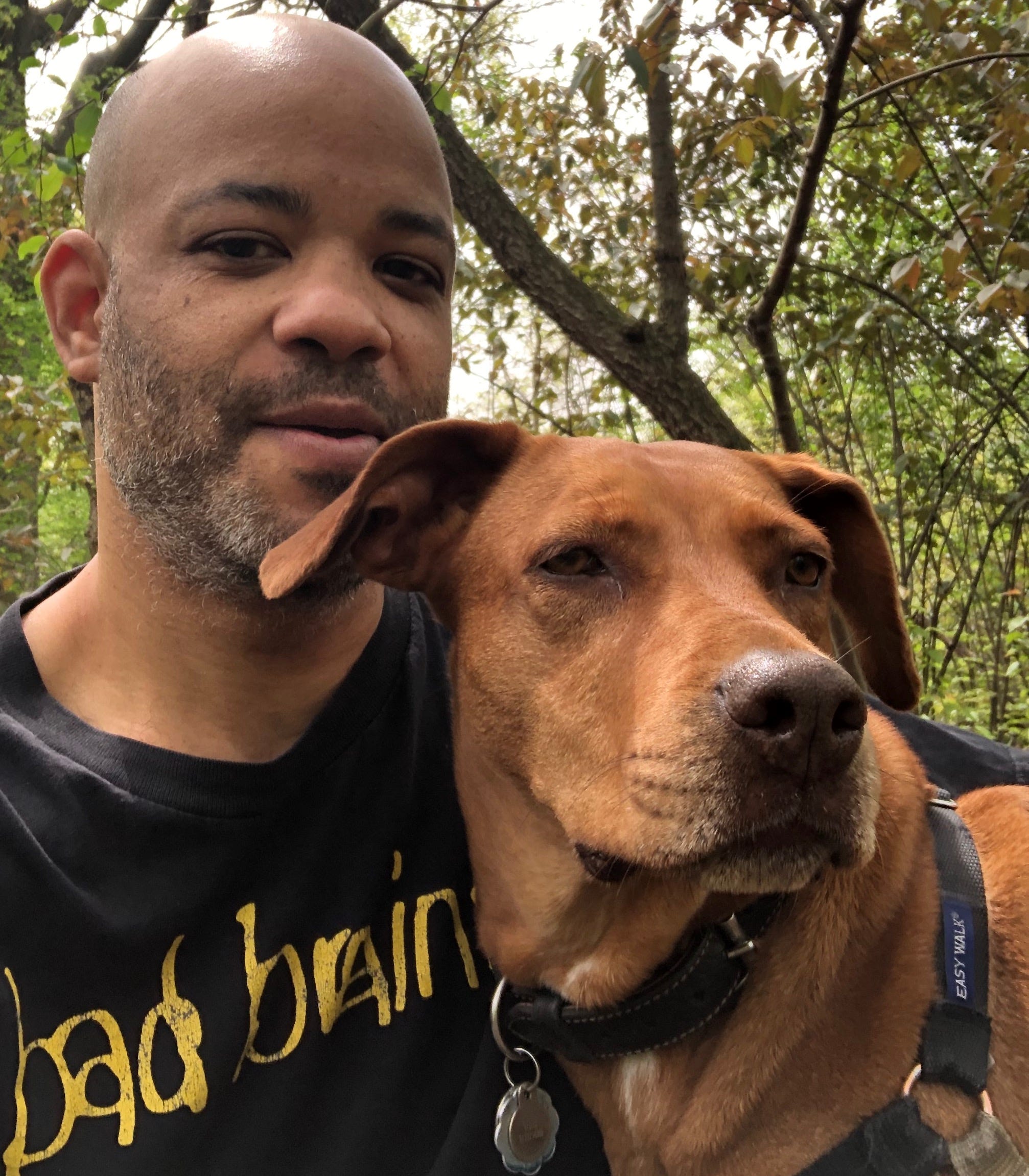 Ethan Piper on Medium curated some lists