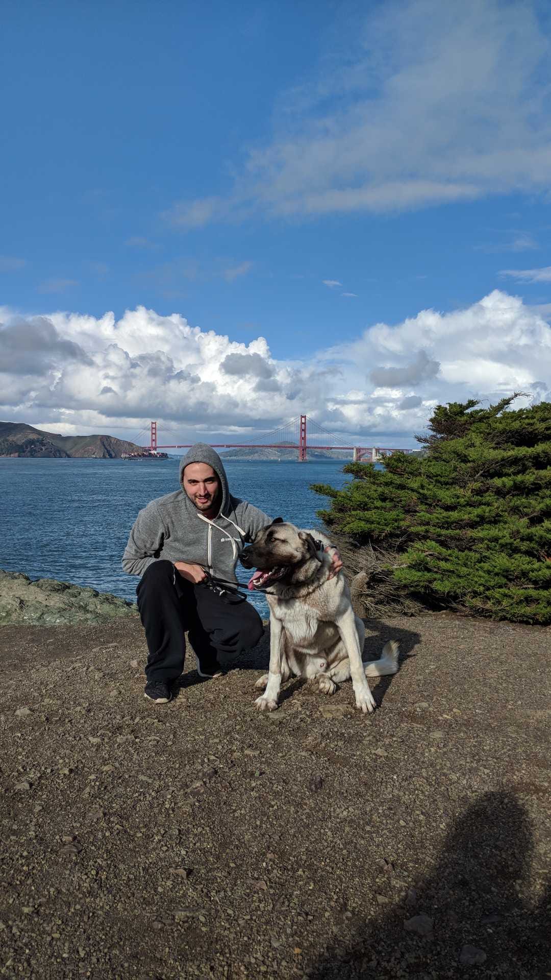 Omer Ozer – Medium