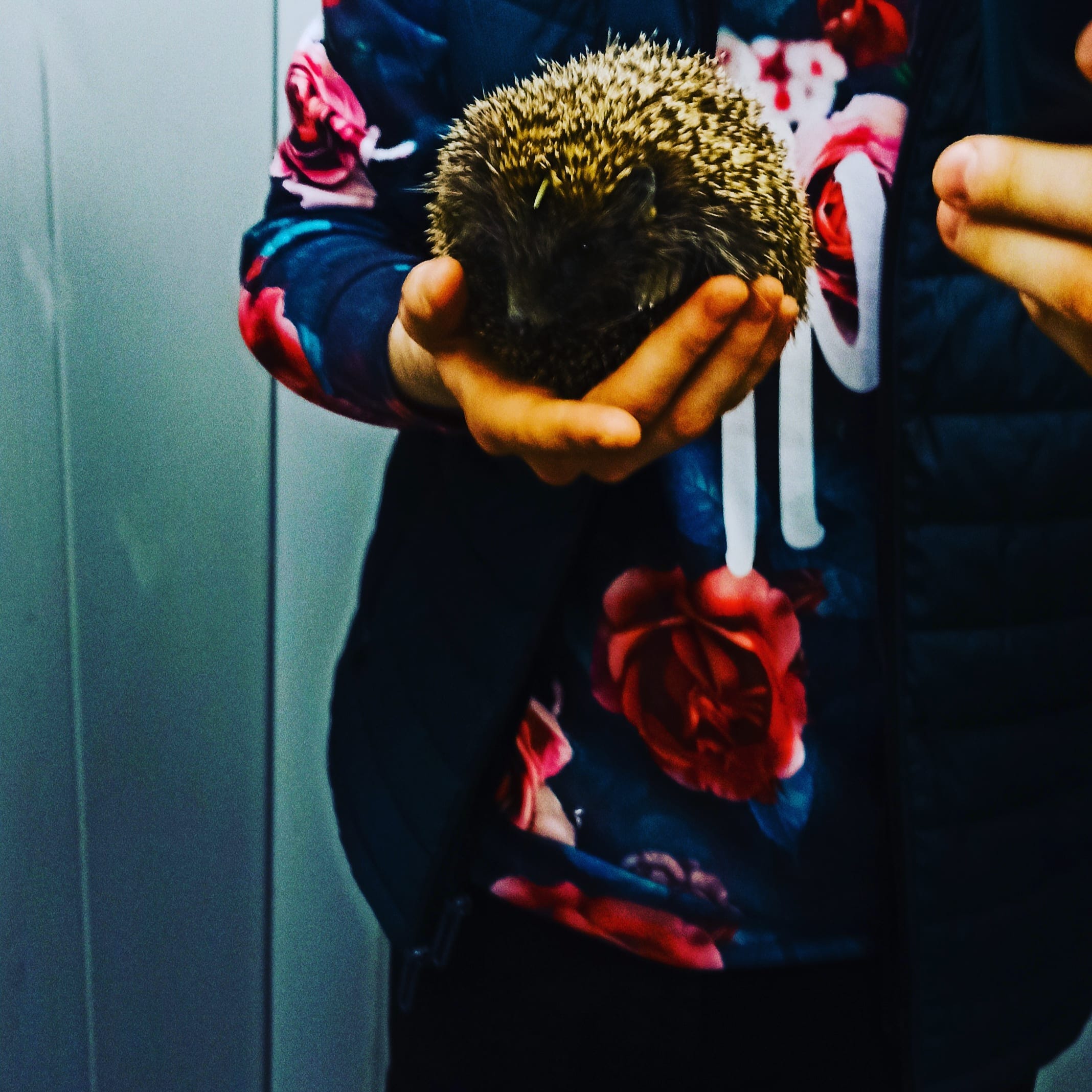 Alessandro Foglia Medium