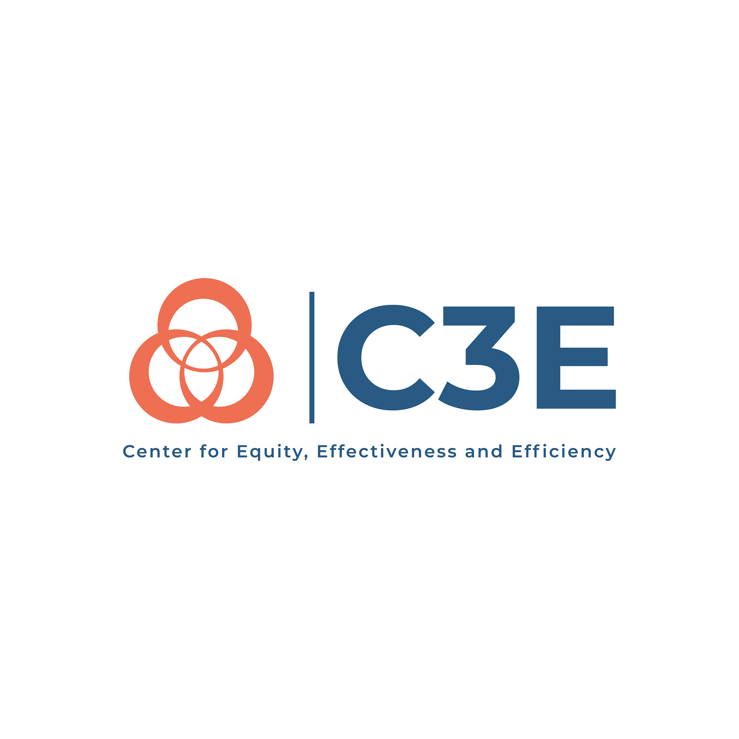 Center for Equity, Effectiveness, and Efficiency – Medium