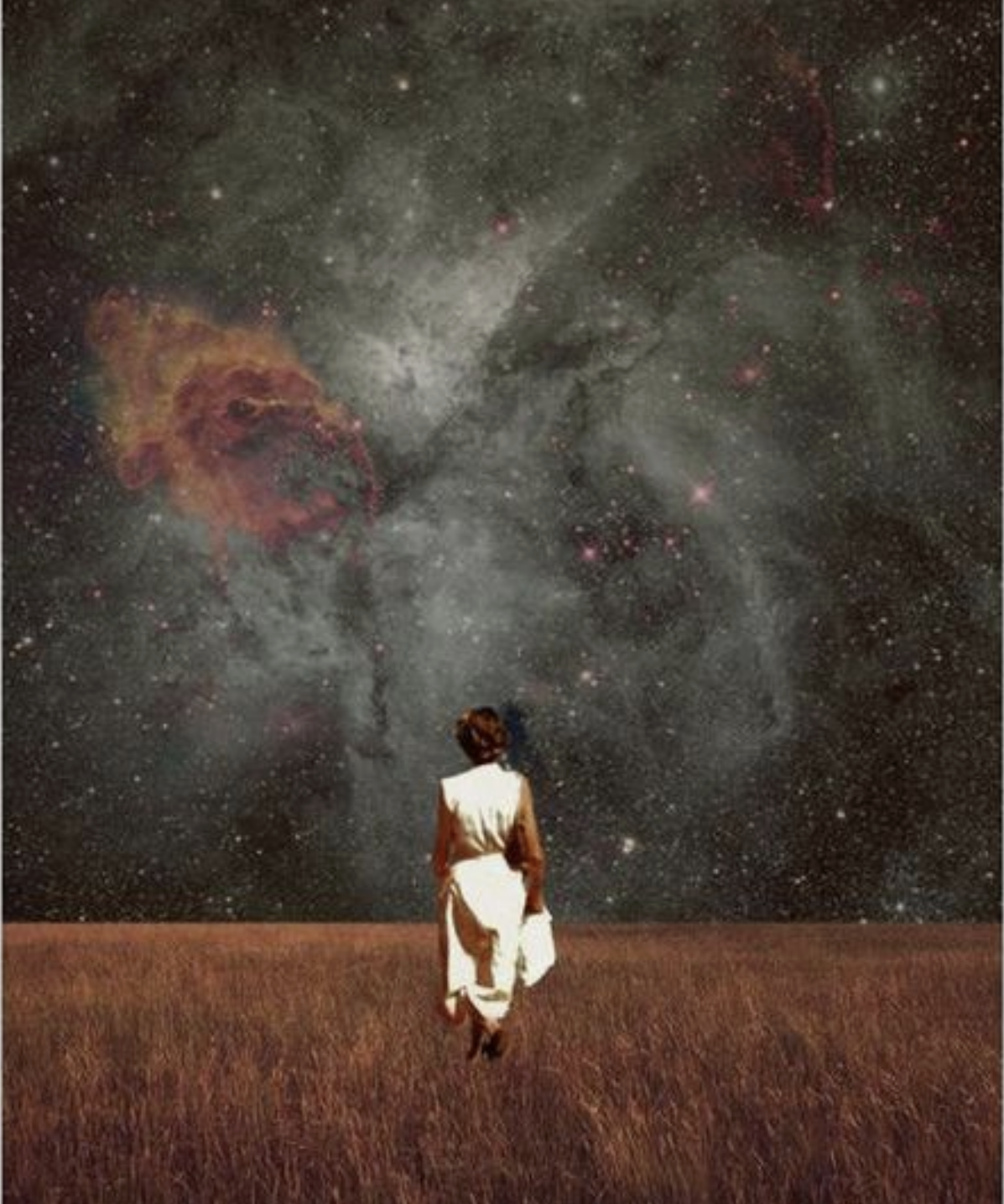 Cosmic Gypsy – Medium