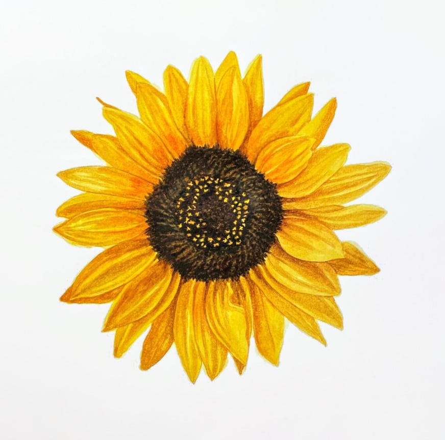 Sofi Jiménez – Medium