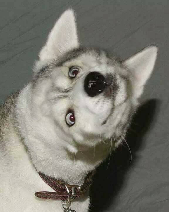 Yudafikra Andika – Medium