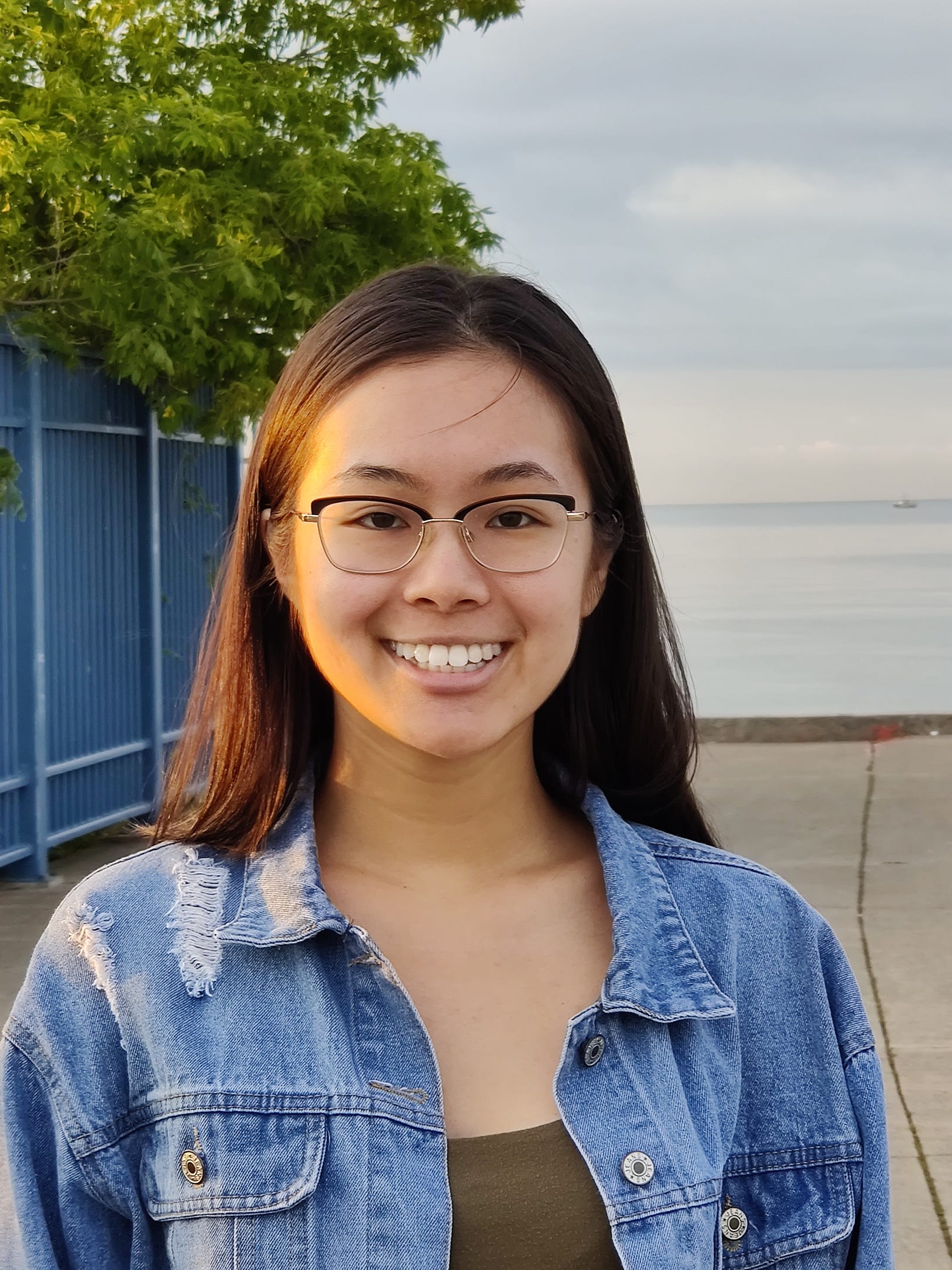 Lena Nguyen on Medium curated some lists