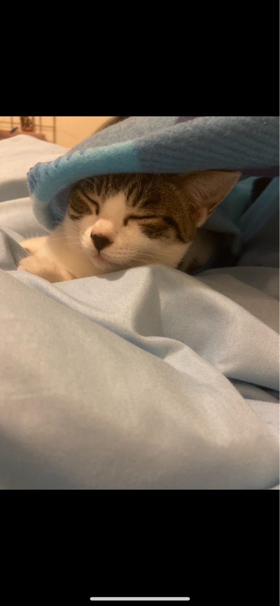 Janice Wong – Medium