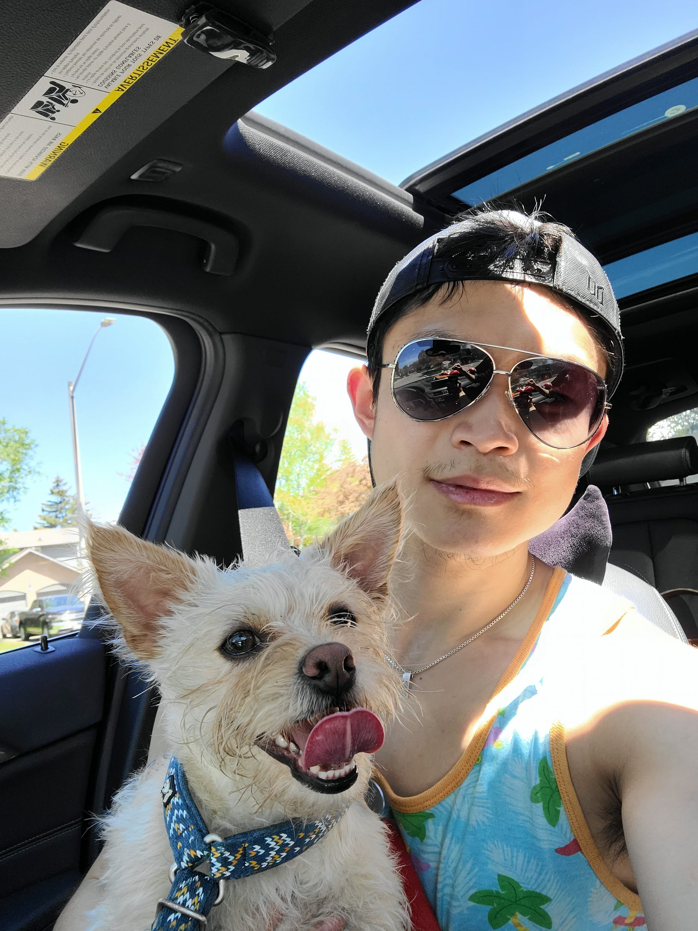 Charles Gao on Medium curated some lists