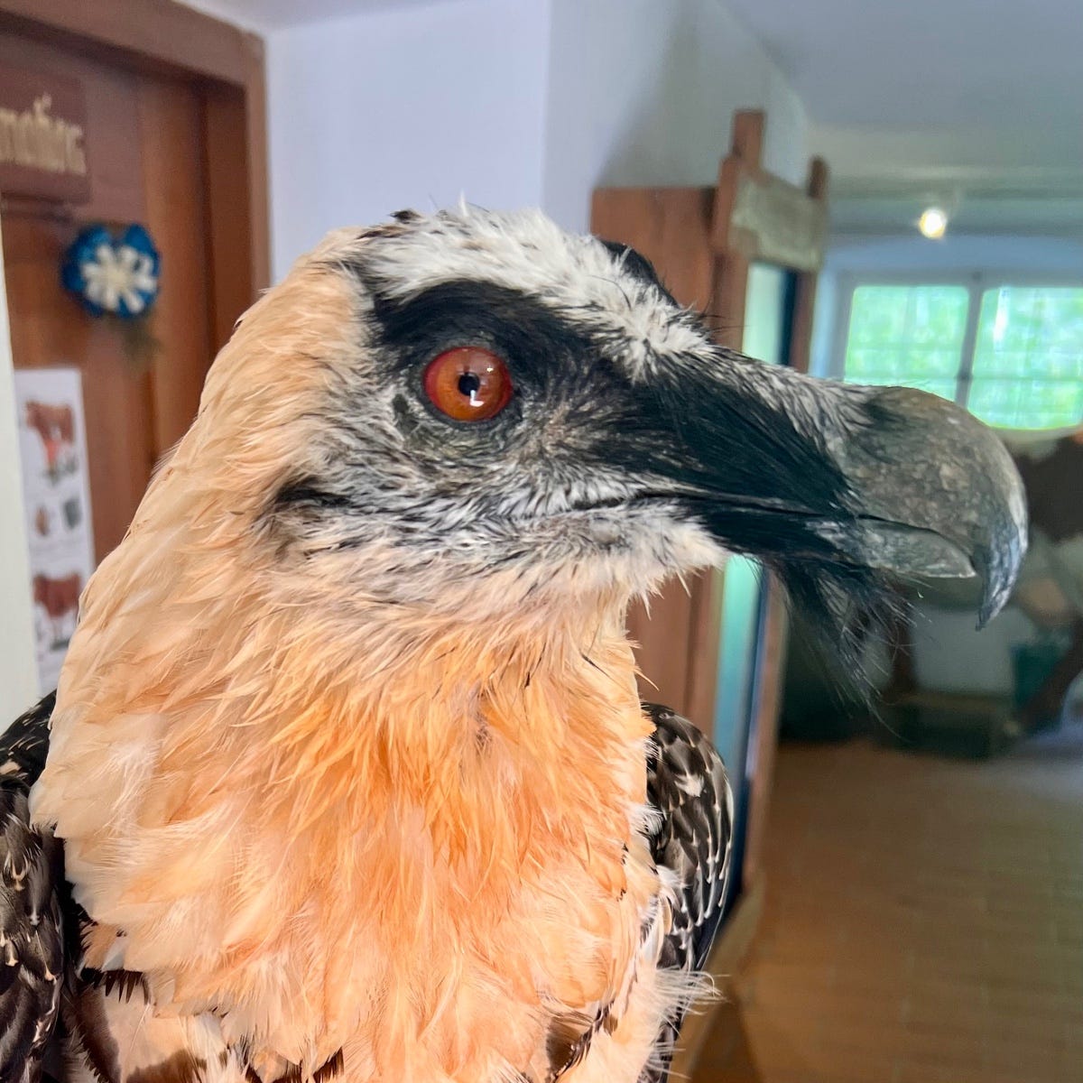 Profklein on Medium curated some lists