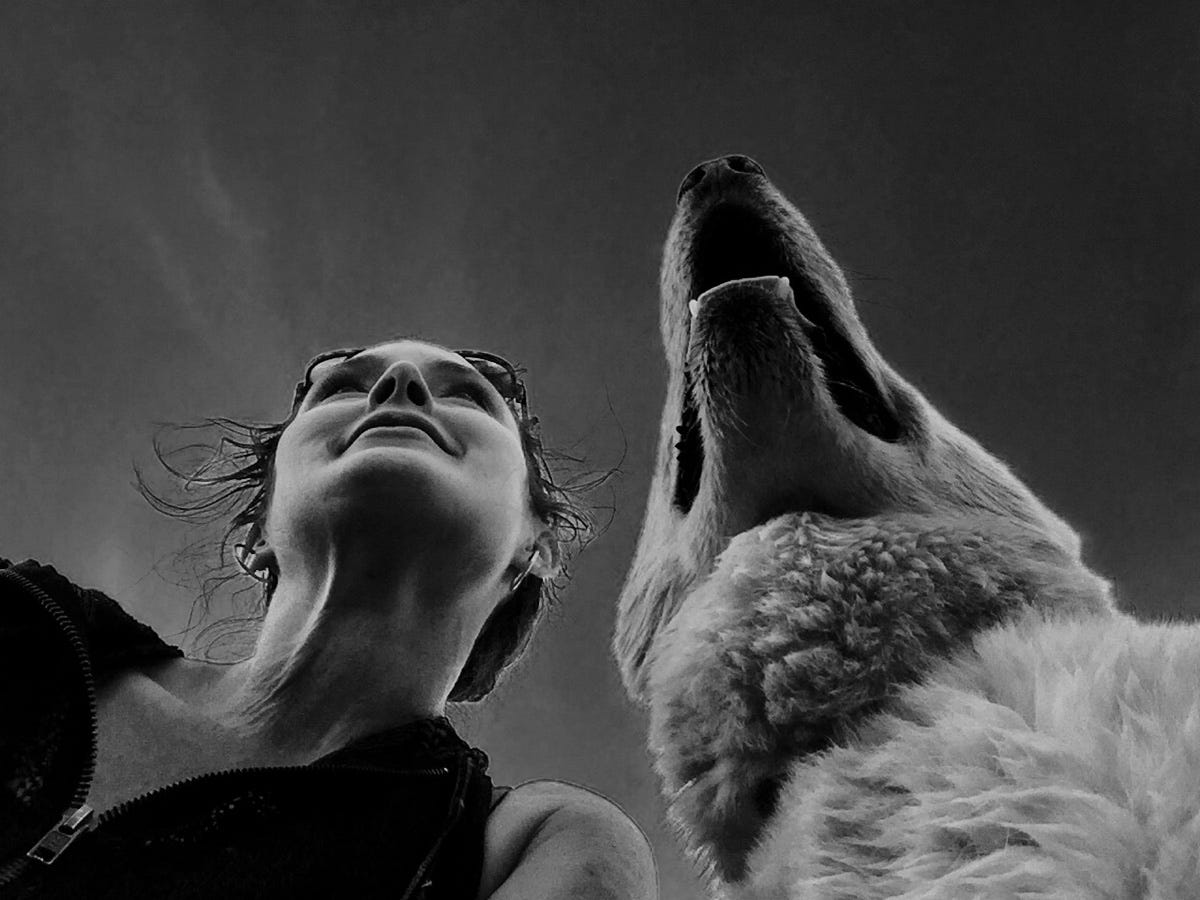 Amy Palleson – Medium