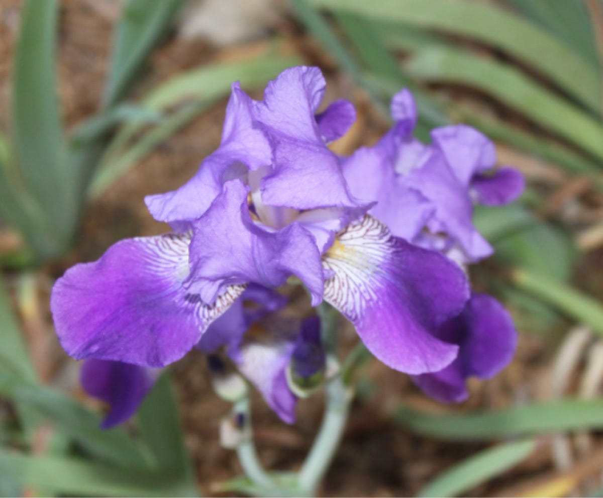 About – TJ Charvat – Medium