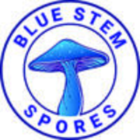 Blue Stem Spores – Medium