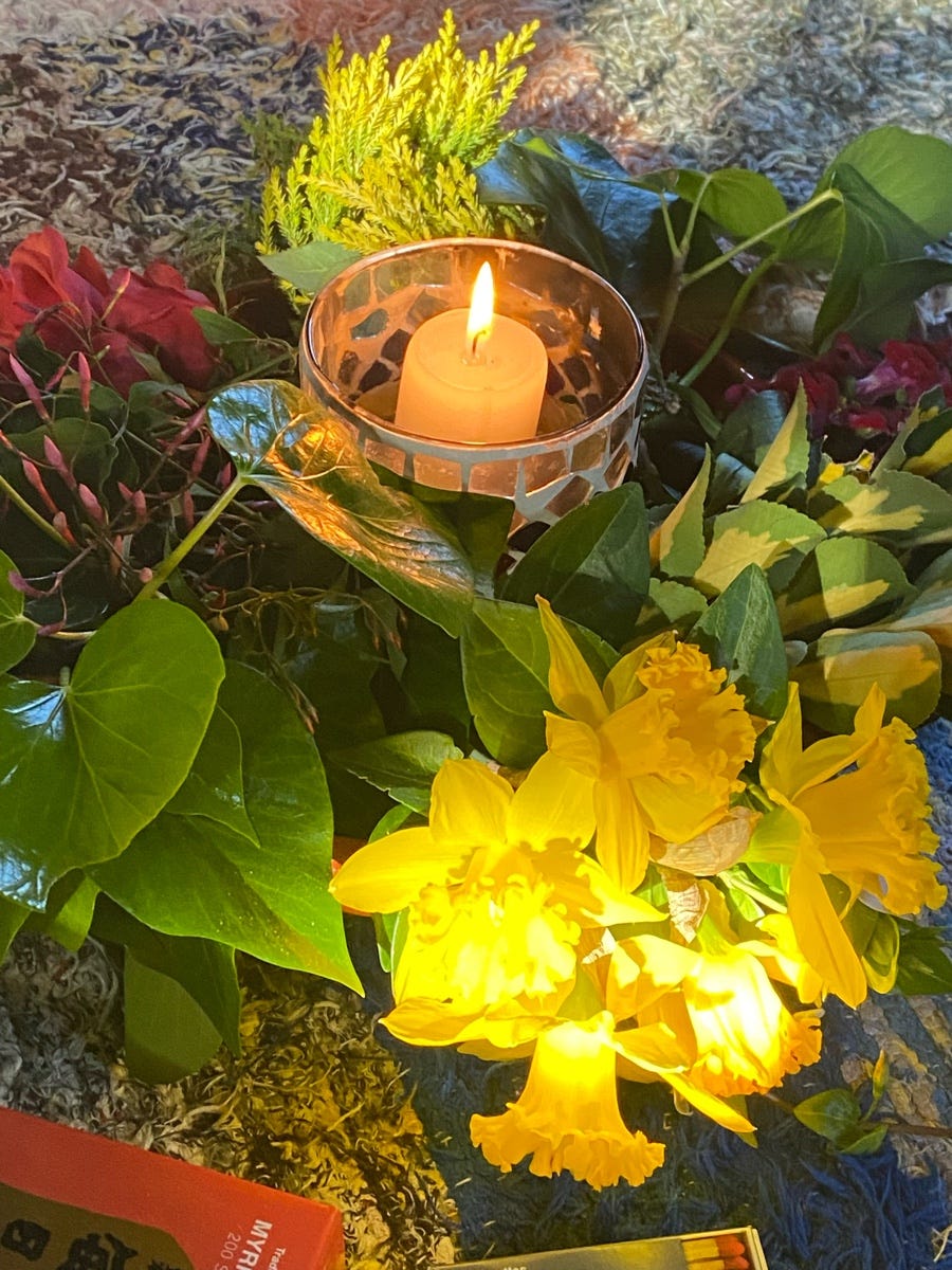 Isabel Collins – Medium