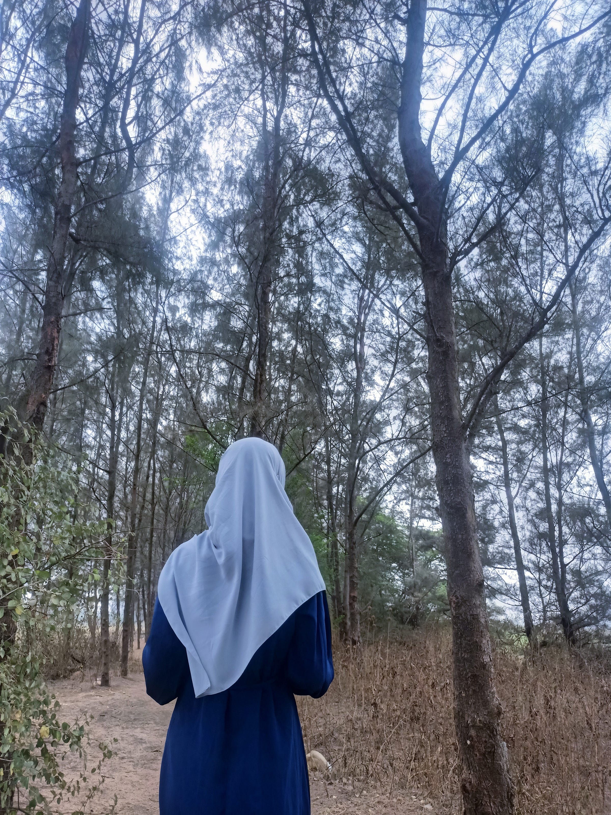 Umaima Mansoori on Medium curated some lists