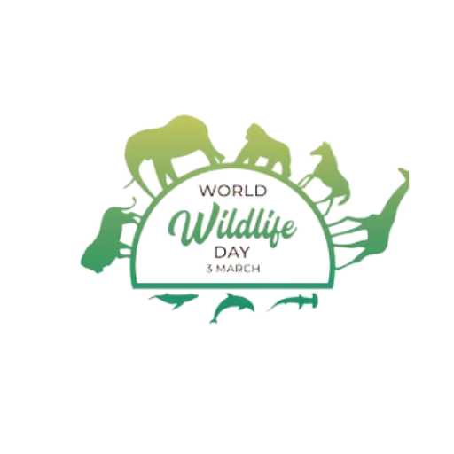 world animals – Medium