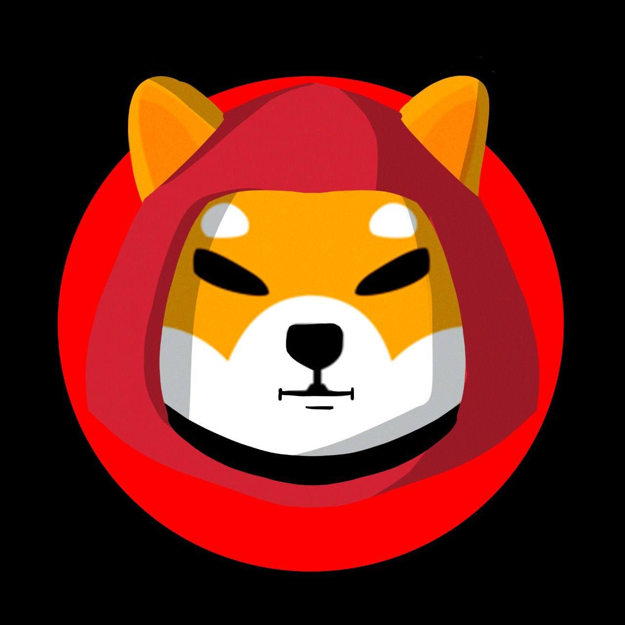 Shiba Junior – Medium