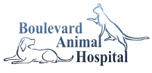 About – Boulevard Animal Hospital – Medium
