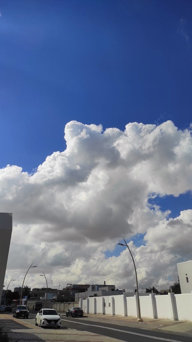 Potato S Fieldnotes Medium