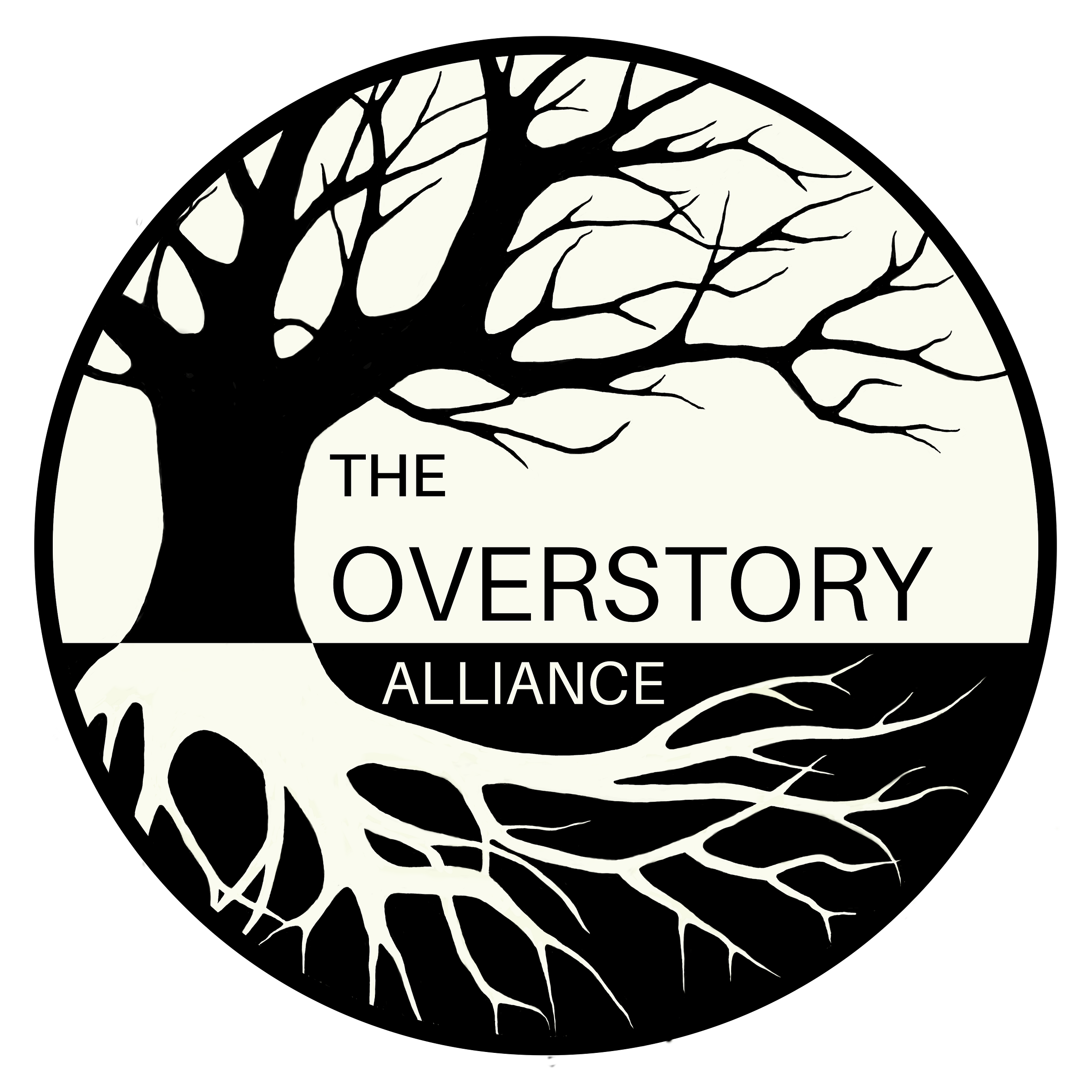 About – Overstory Alliance – Medium