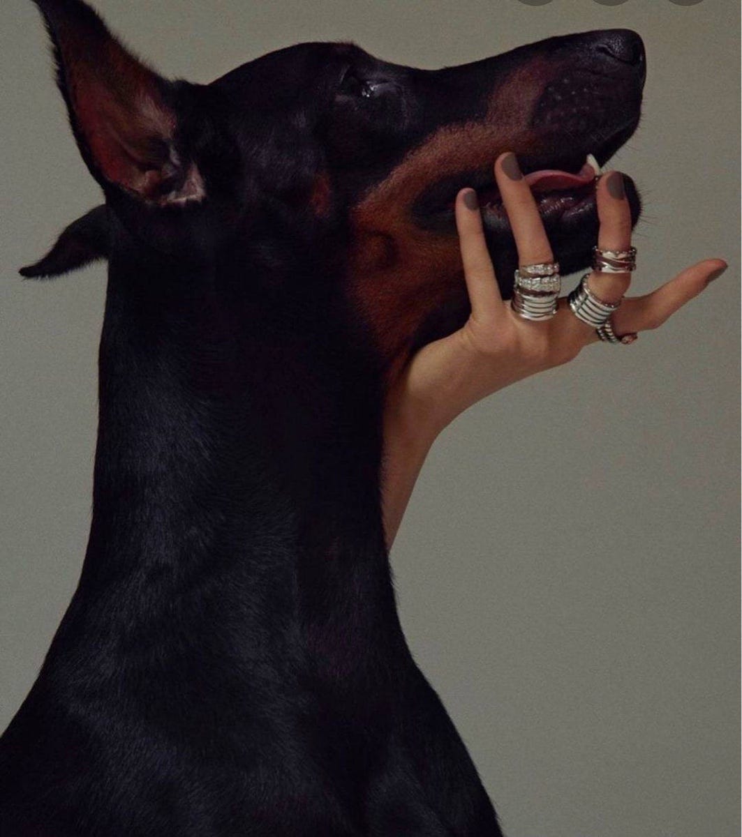 Bolorchimeg Ganbold – Medium