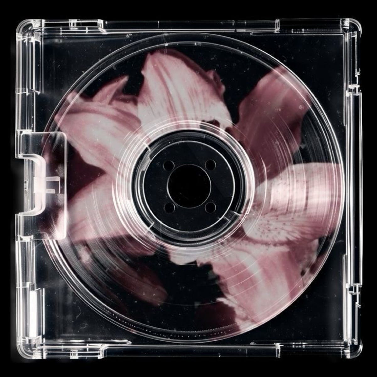 The Scattered Pages Medium