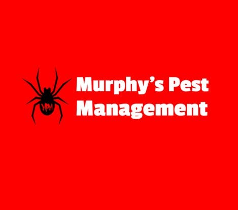 Murphy’s Pest Management – Medium