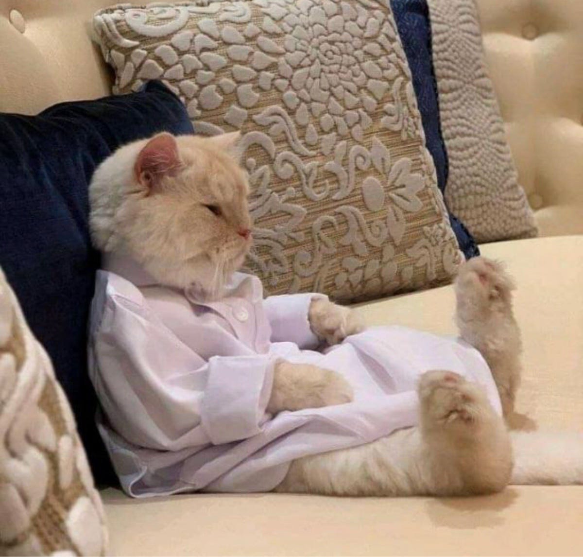 Usama Ashraf – Medium