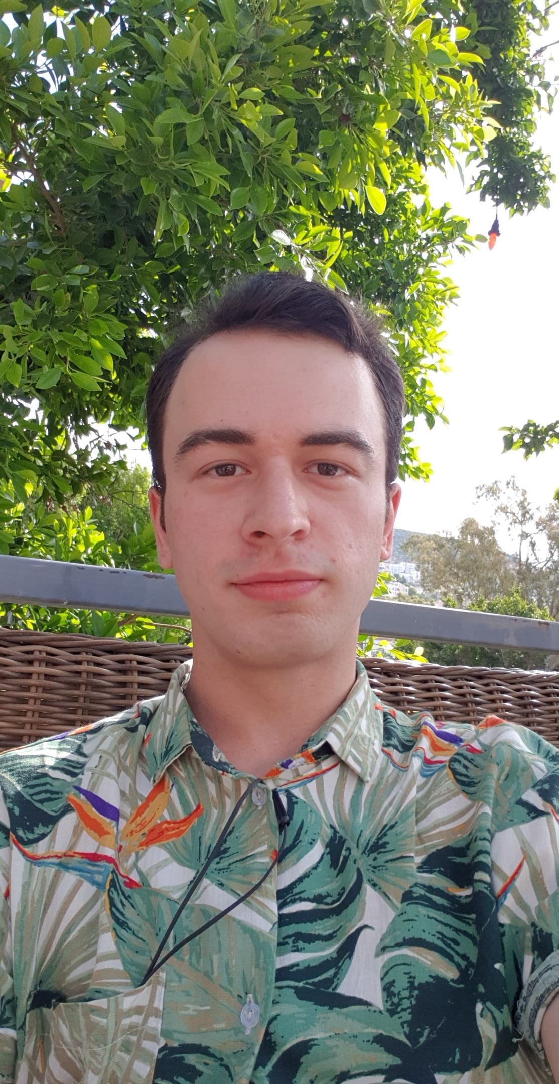 Ilia Shevtsov – Medium