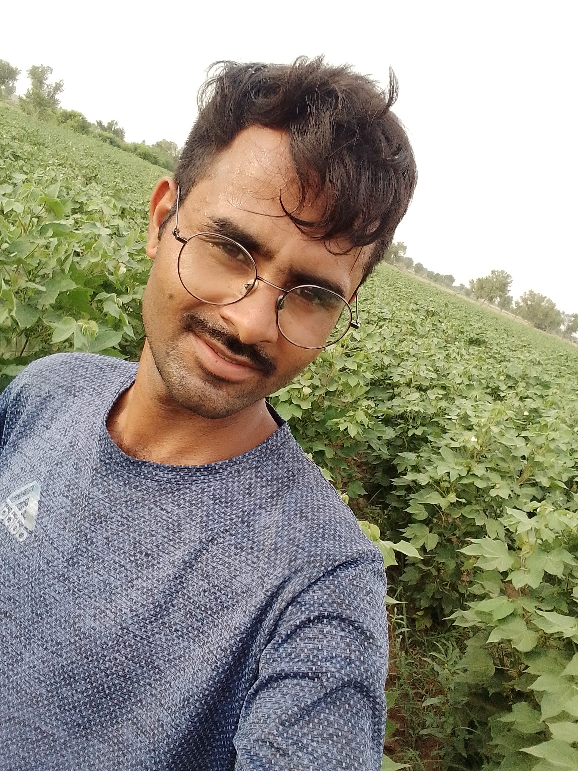 JASI BANNA BIKANER – Medium