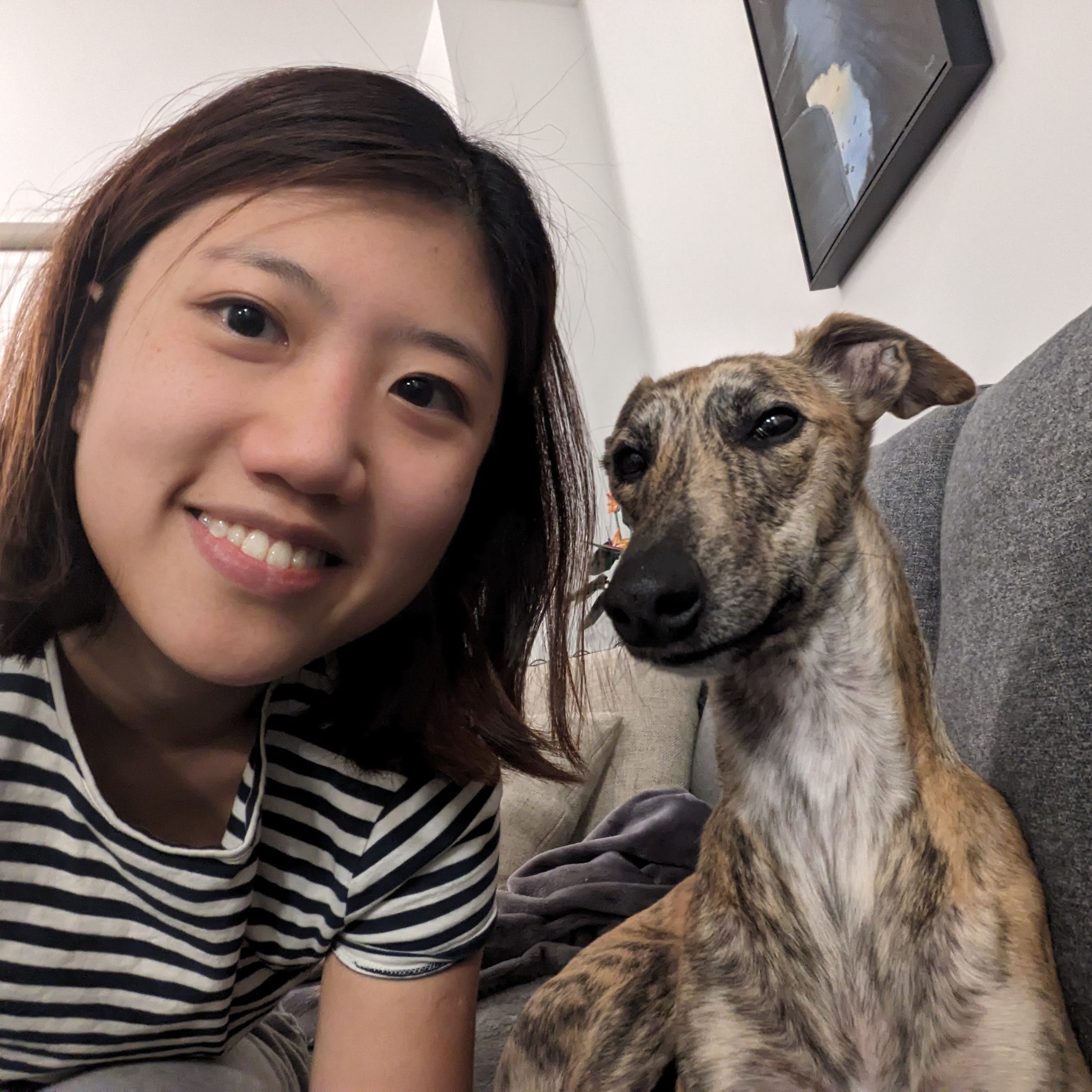 Phebe Bay – Medium