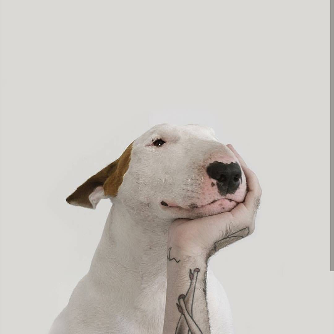 Ankit Malik – Medium