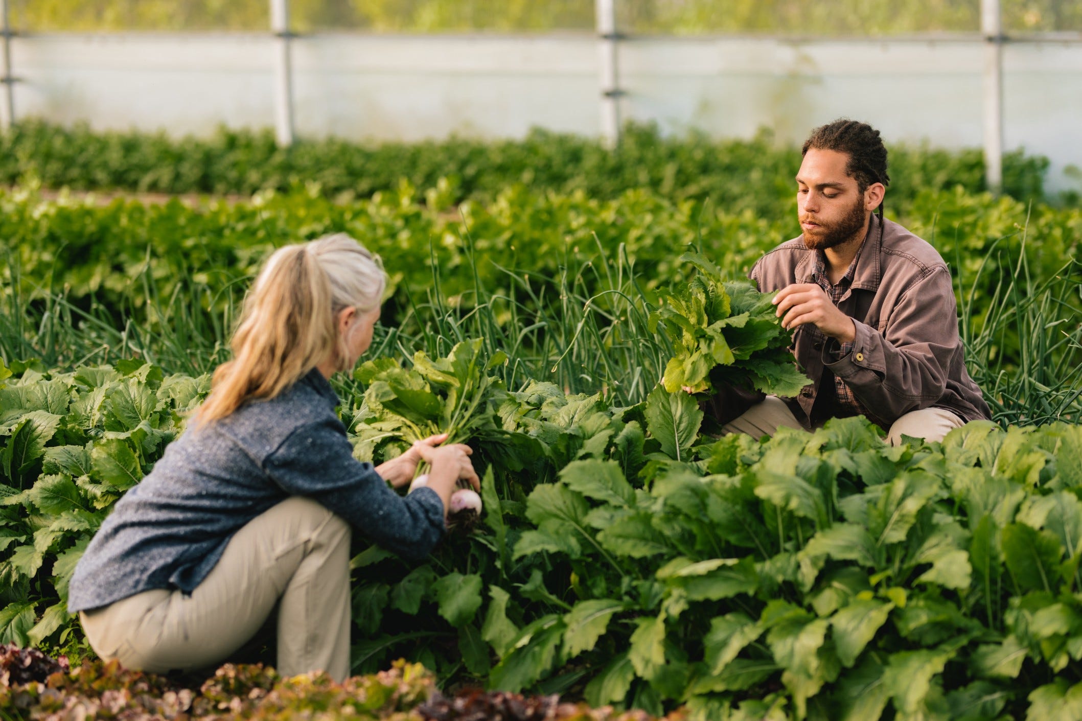 Robert Turing – Medium