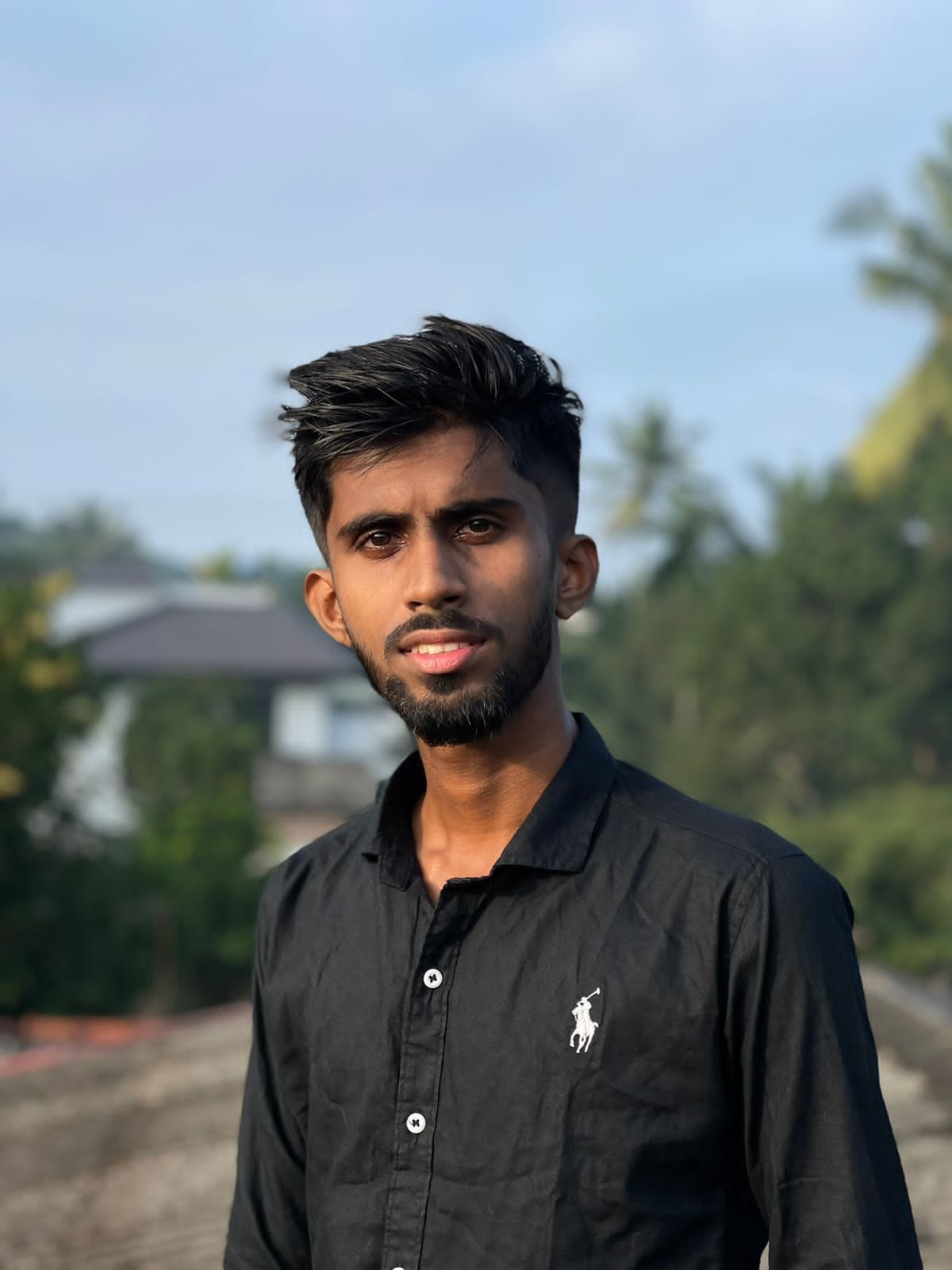 Dimal Jay – Medium