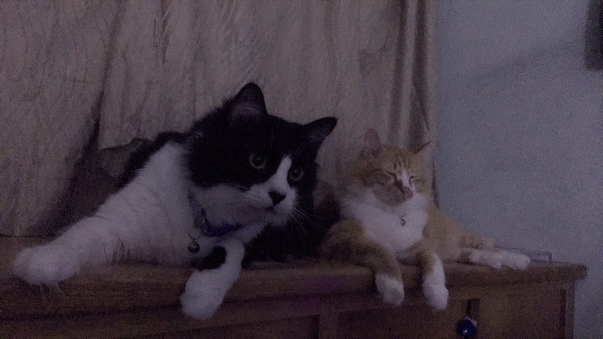 Akma Abd Hamid – Medium