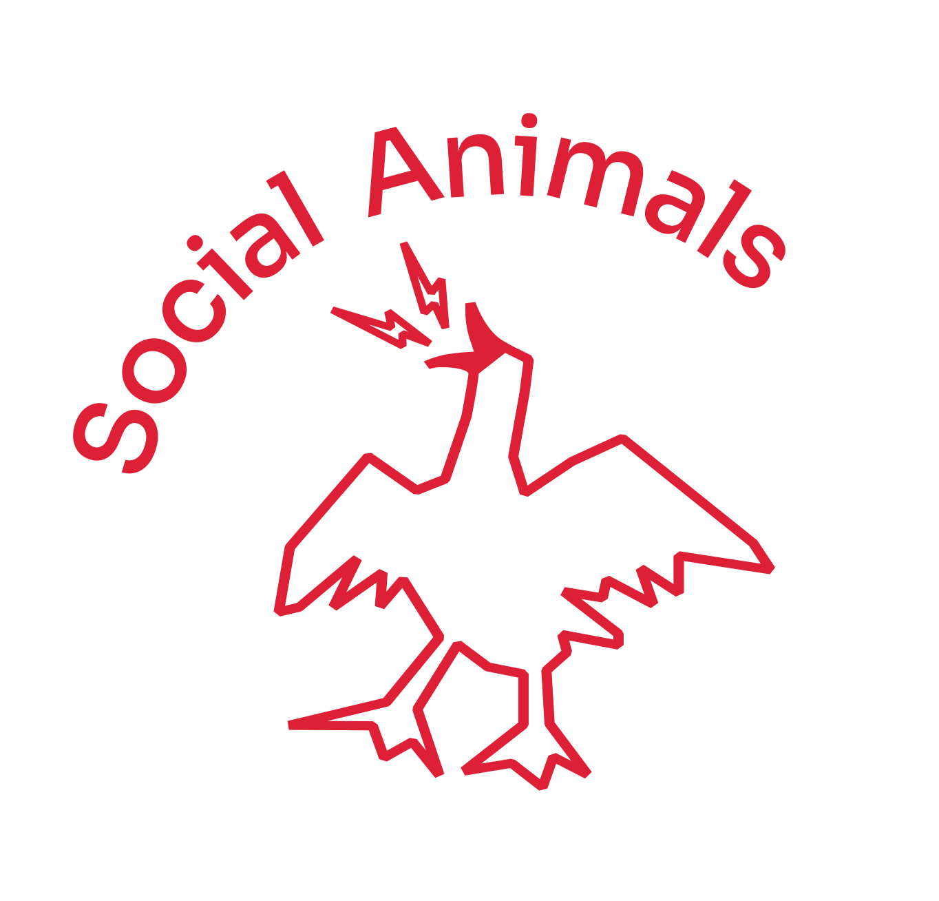 We are Social Animals – Medium