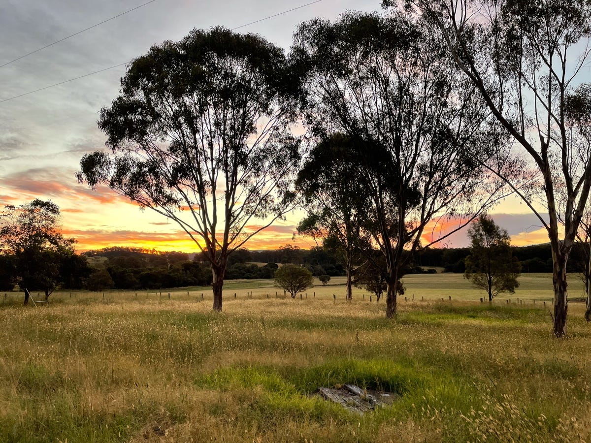 Ian Ormesher – Medium