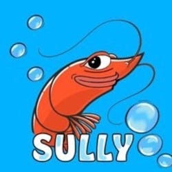 SULLY – Medium