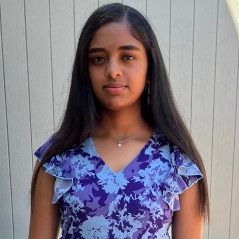 Sanjana Ramesh on Medium curated some lists