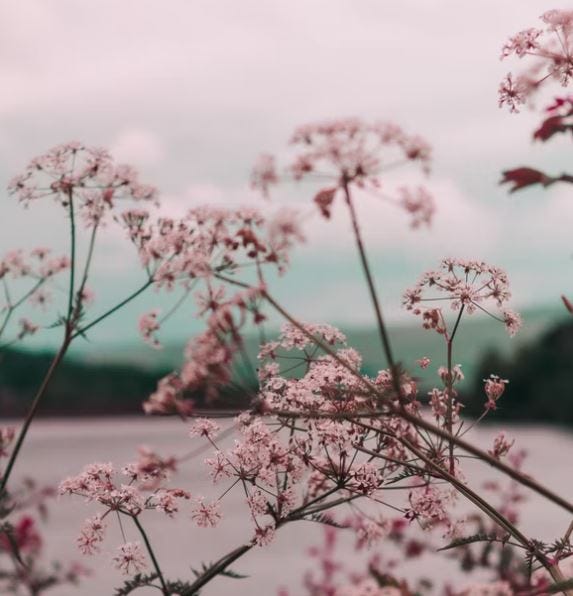 Aina Amin – Medium