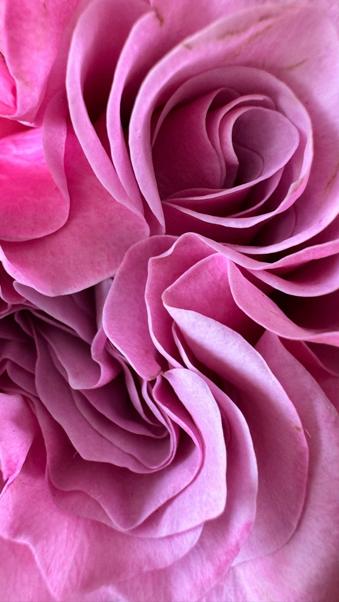 Camila New Reality – Medium