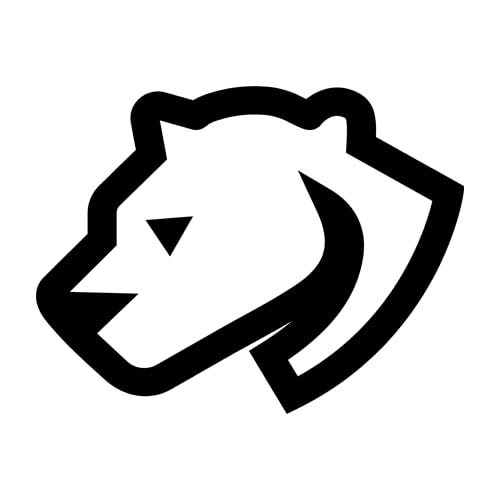 Miami Ad Agency - Cheetah – Medium