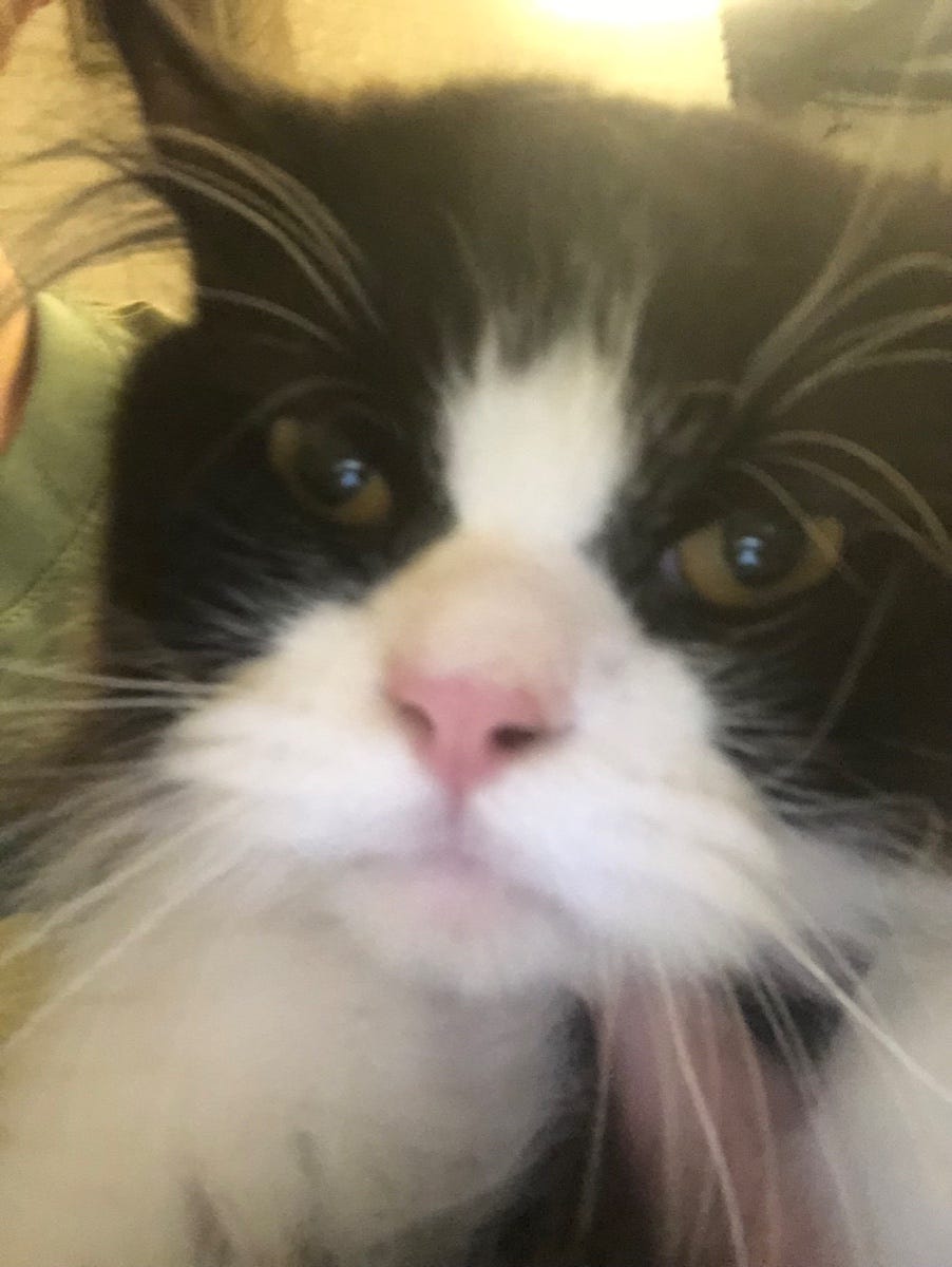 Indra Dipanegara Tan on Medium curated some lists