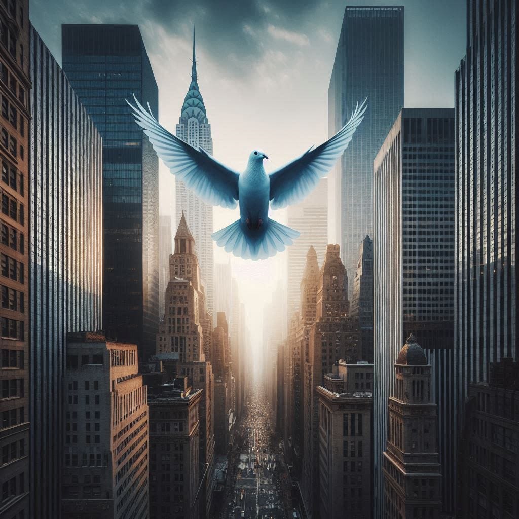 Kevin Lee – Medium