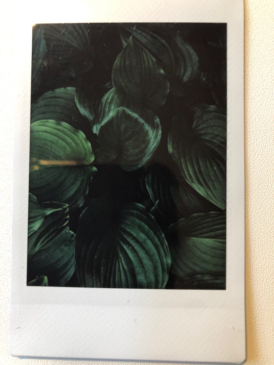 Nhi Tran on Medium curated some lists